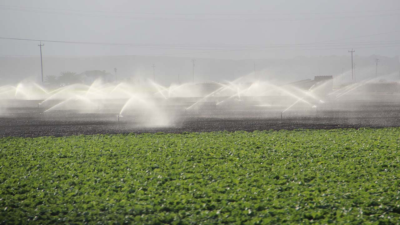 A Blueprint for an Equitable Region Rises in California's Salinas ...